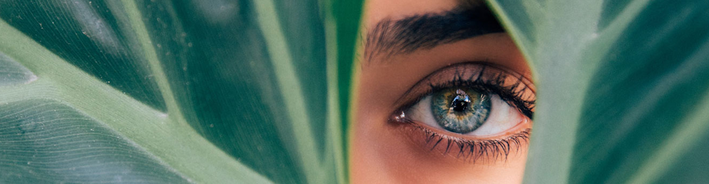 Optik-Ratgeber - Nützliches Wissen rund um Augen & Sehen | Apollo