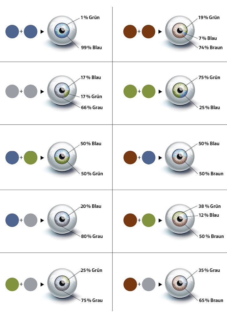 Genetik Der Bernsteinfarbenen Augen Biologie Und Verhalten